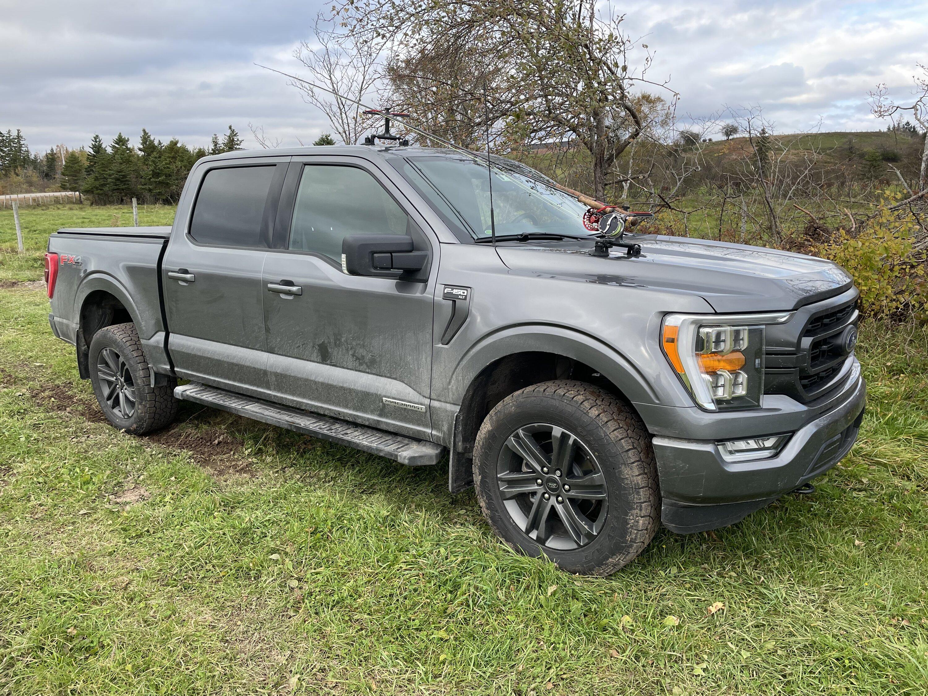Toyo Open Country AT3 - P vs LT? | Page 4 | F150gen14 -- 2021+ Ford F ...