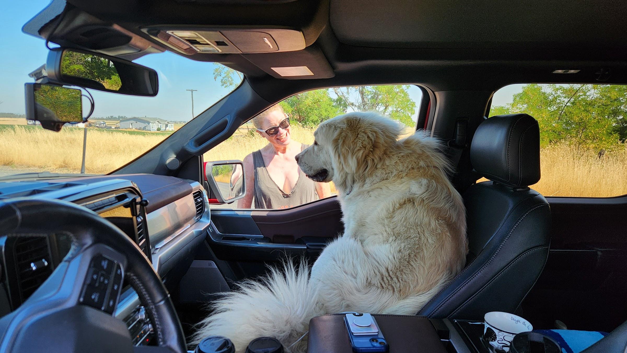 Introducing Bluepilot! A Ford specific fork for Comma3X / OpenPilot | Page 9 | F150gen14 -- 2021 ...