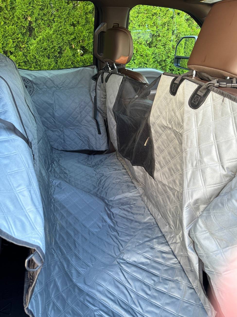 Capturing Your F-150 Moments with Pets - Share Yours! | Page 3 | F150gen14 -- 2021+ Ford F-150 ...