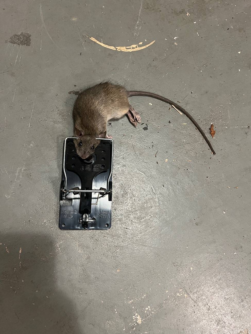 Drive Control Fault | F150gen14 -- 2021+ Ford F-150, Tremor, Raptor ...