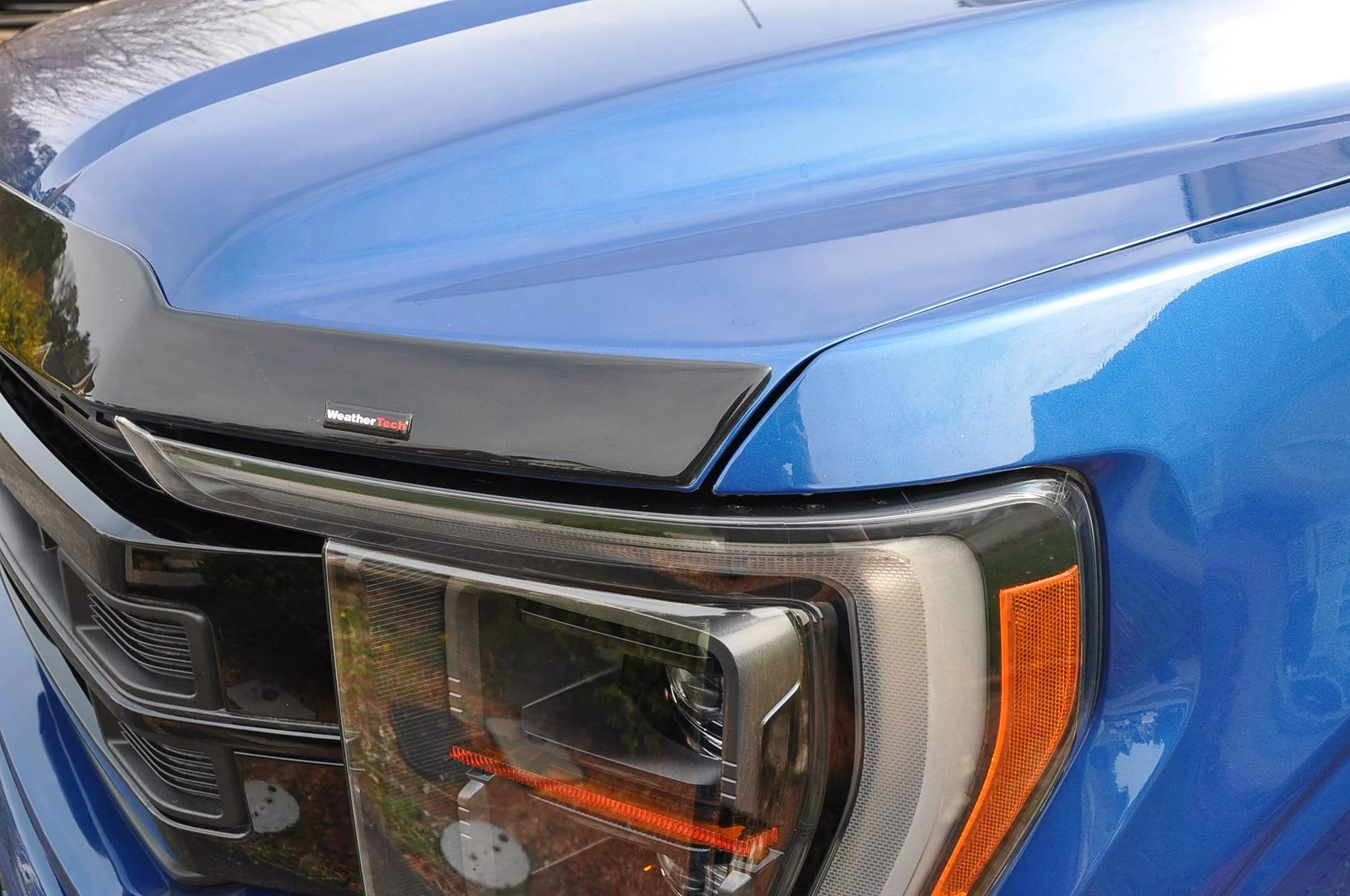 Tremor Bug & Rock Deflector - Is There One? | F150gen14 -- 2021+ Ford F ...