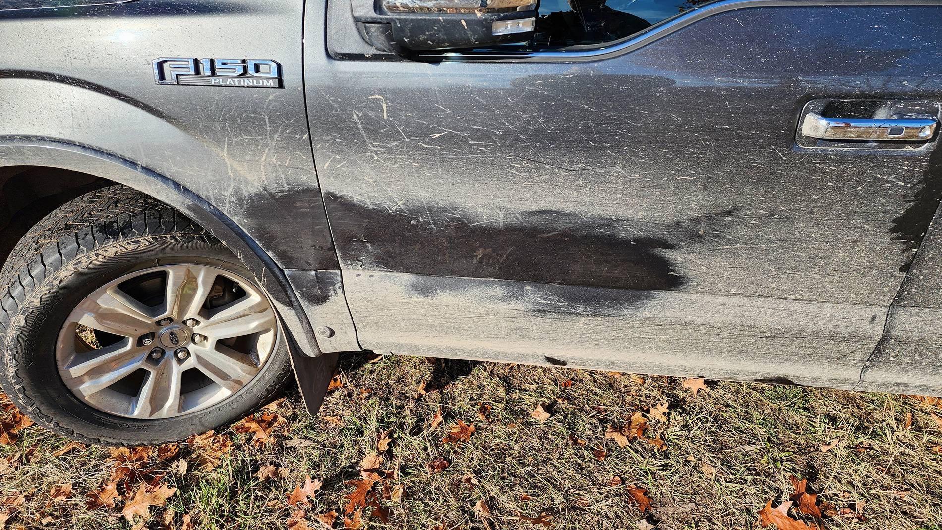 The Deer hit every panel - Drivers side damage assessment | F150gen14 ...