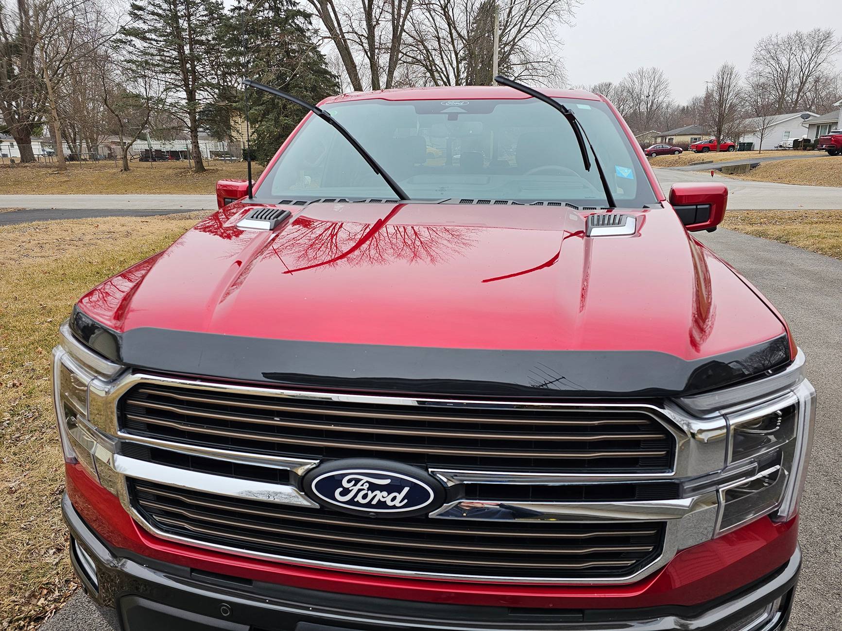 Hood "Bug" deflector | Page 5 | F150gen14 -- 2021+ Ford F-150, Tremor ...