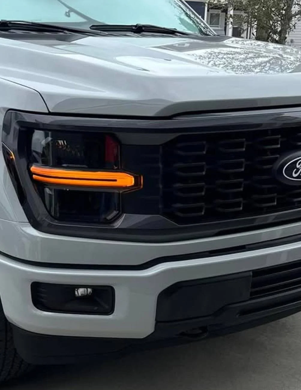 2024 Avalanche Build | F150gen14 -- 2021+ Ford F-150, Tremor, Raptor ...