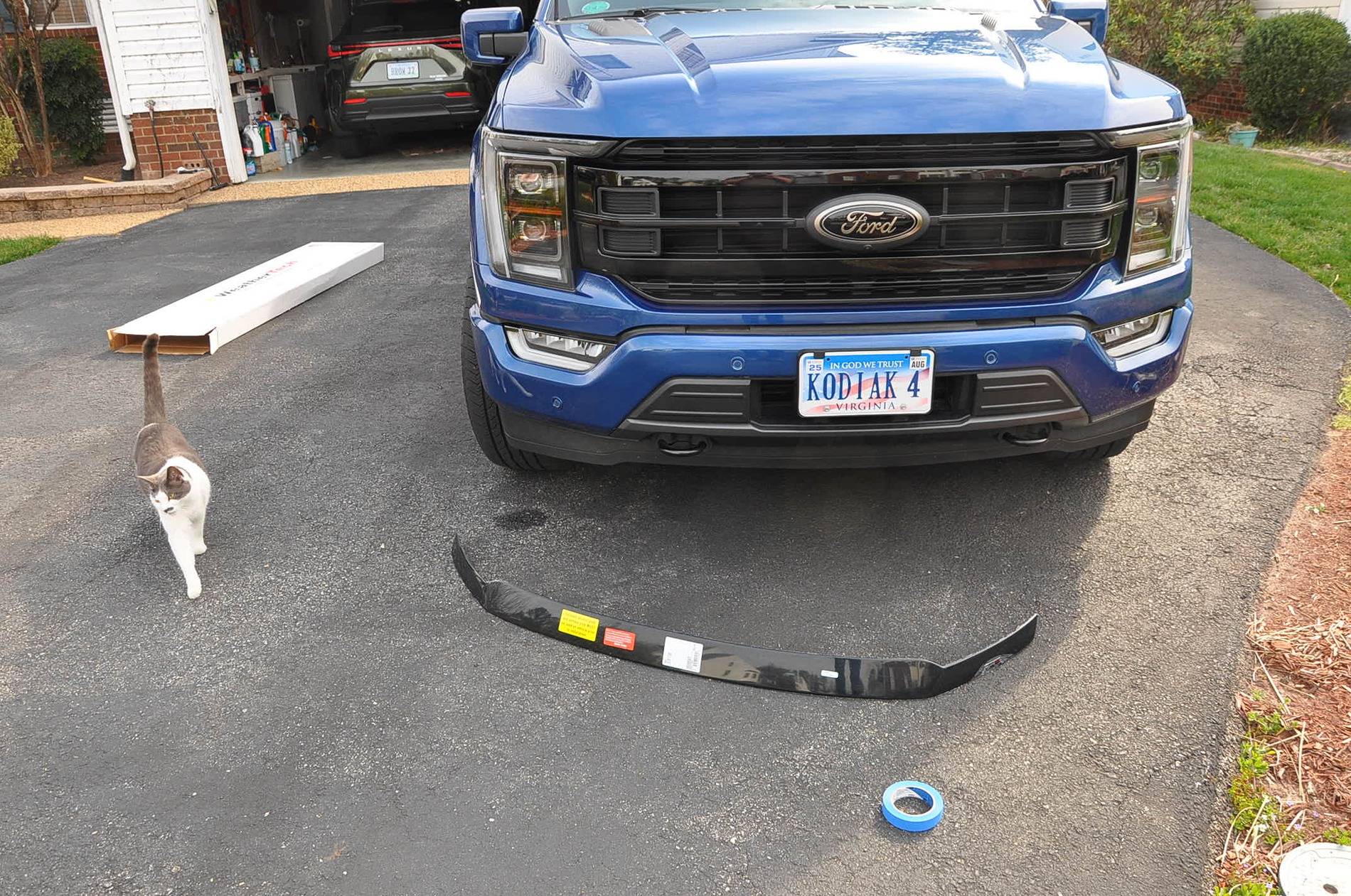 F150 bug deflector | F150gen14 -- 2021+ Ford F-150, Tremor, Raptor ...