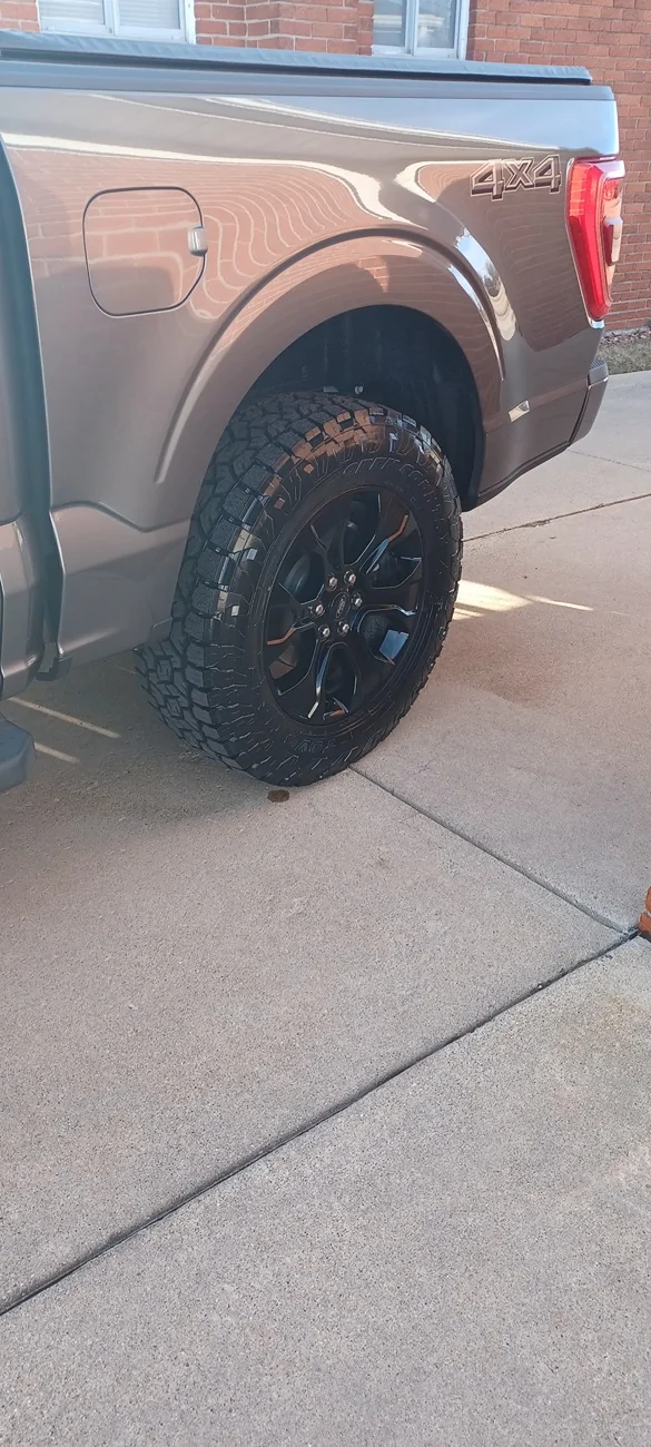 295/60r20 or 305/55r20 for 2022 F150 XLT on 2 inch leveling kit ...