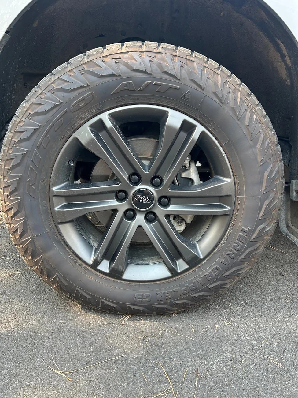 Anyone using Nitto Terra Grappler G3 tires? | Page 10 | F150gen14 ...