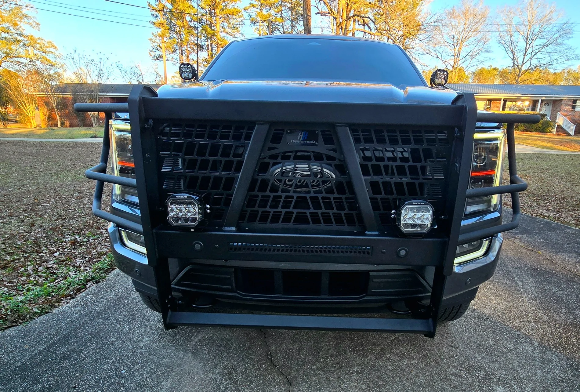 Hammerhead brushguard | F150gen14 -- 2021+ Ford F-150, Tremor, Raptor ...