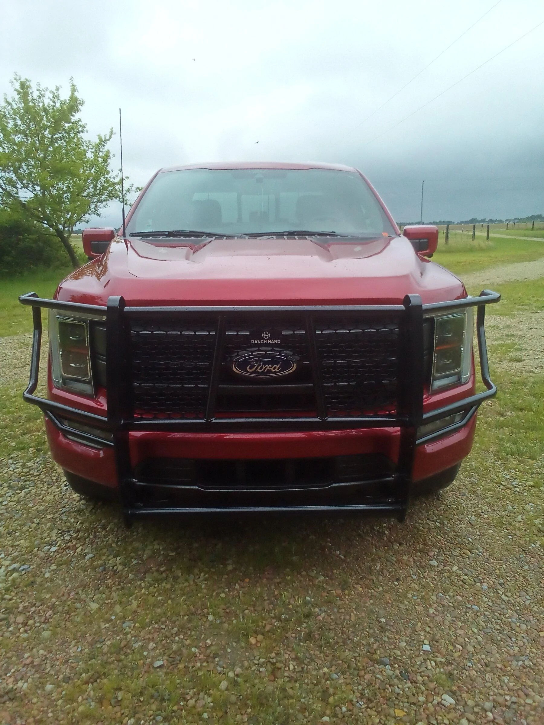 Ranch Hand Brush Guard for 2021+ | Page 2 | F150gen14 -- 2021+ Ford F ...