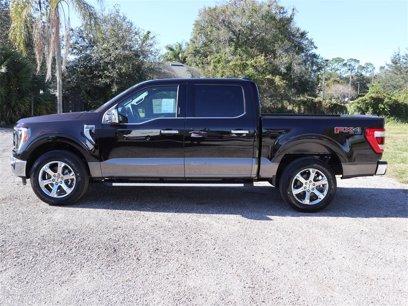 KODIAK BROWN F-150 (2021+) Club | F150gen14 -- 2021+ Ford F-150, Tremor ...