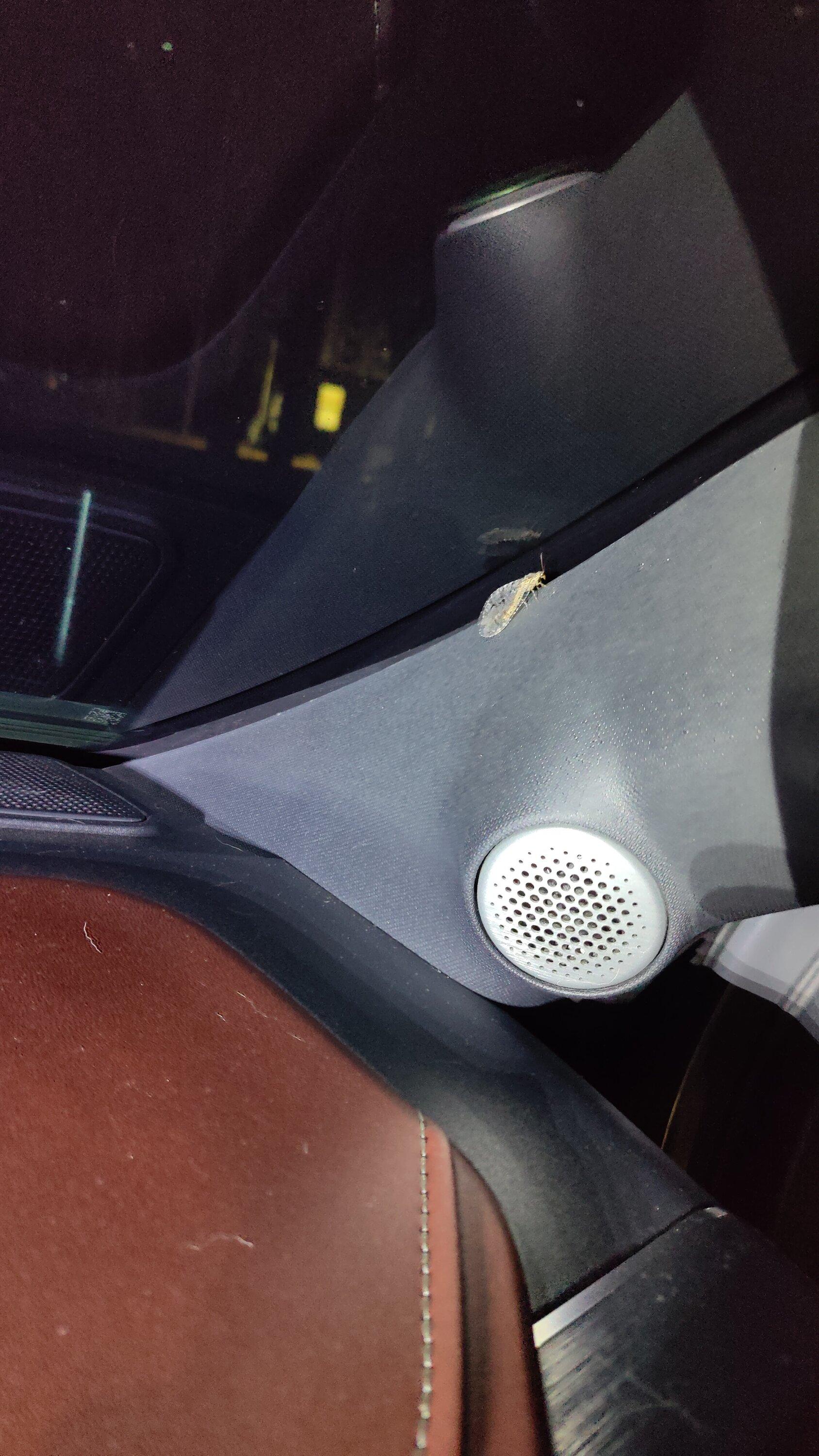 Intrusion alarm due to a flying insect | F150gen14 -- 2021+ Ford F-150 ...