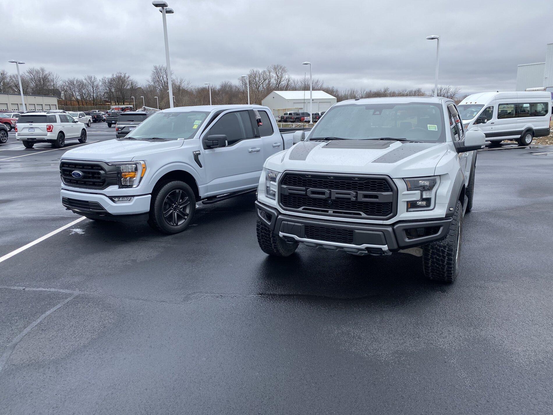 Space White F-150 vs Avalanche Gray Raptor Color | F150gen14 -- 2021 ...