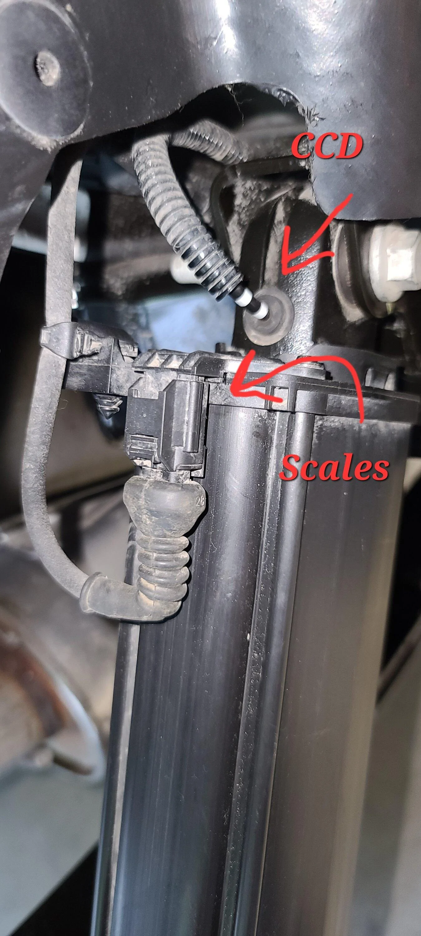 No On Board Scales with CCD? | F150gen14 -- 2021+ Ford F-150, Tremor ...