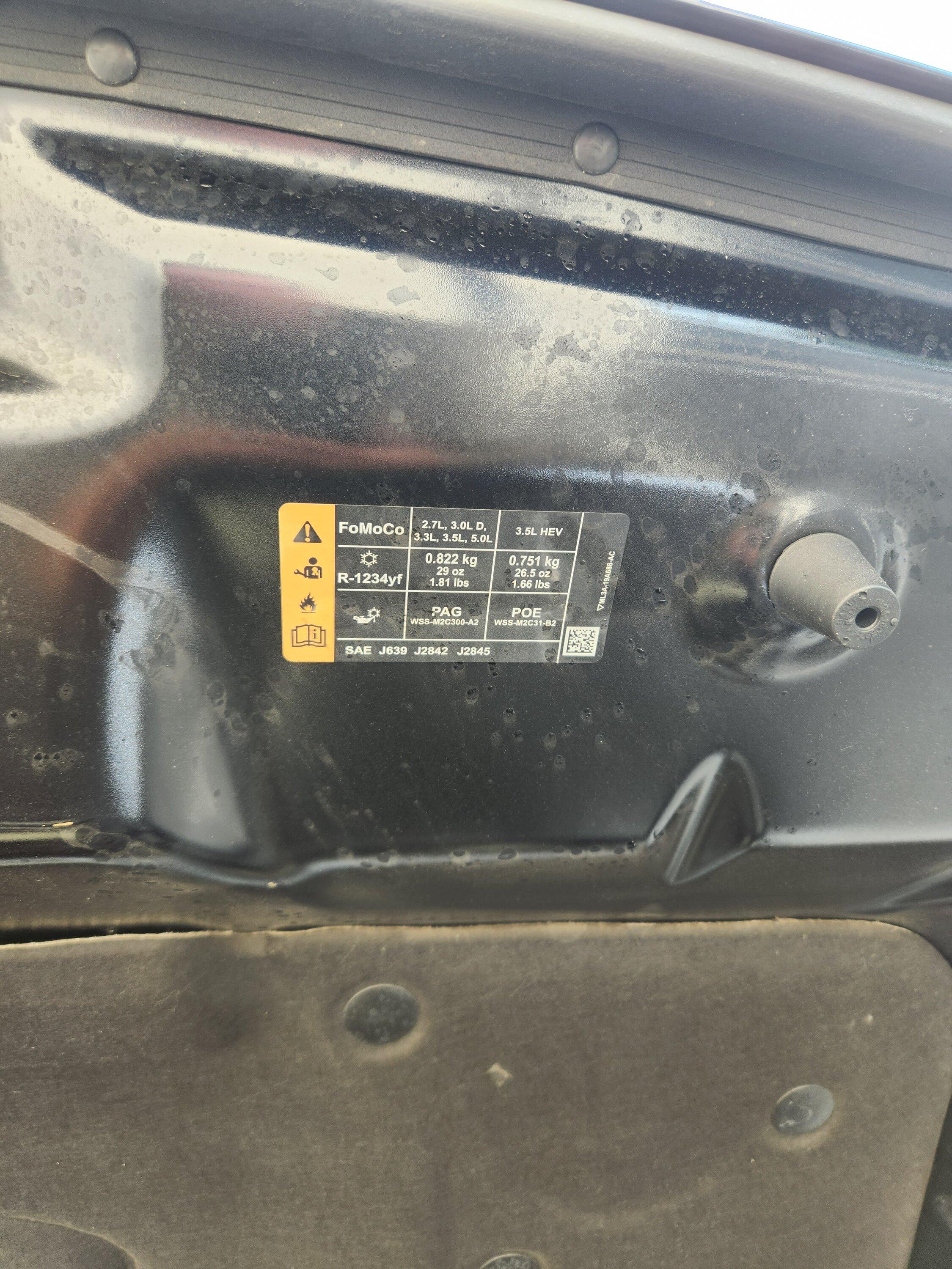 Underside hood stickers 2021? | F150gen14 -- 2021+ Ford F-150, Tremor ...